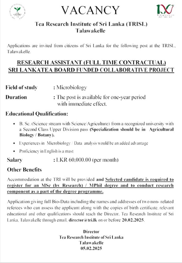 Research Assistant – Tea Research Institute Job Vacancies 2025 - Tasty Learning