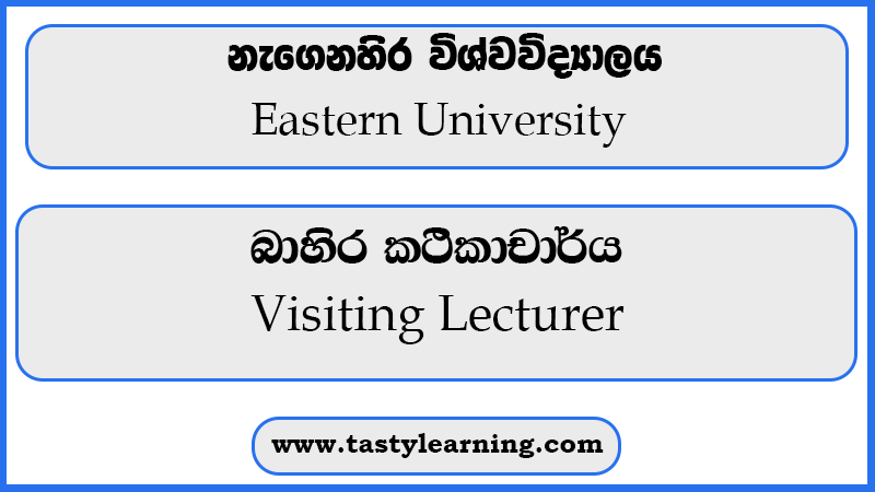 Visiting Lecturer – Eastern University of Sri Lanka Job Vacancies 2025 - Tasty Learning